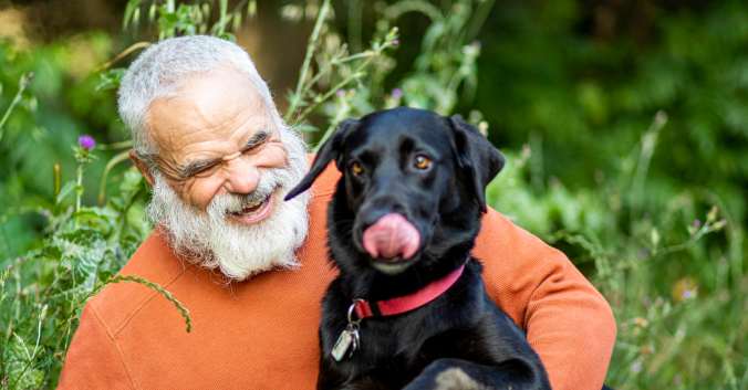 Say hello to our 2025 Medicare Advantage PPO partners | Delta Dental